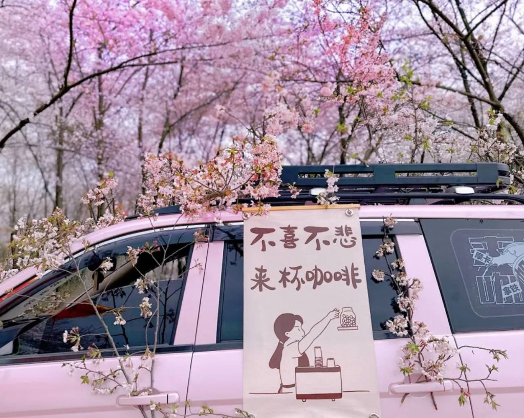 Pingba Cherry Blossom Garden in Guizhou – better than Japan? - TRAVEL ...